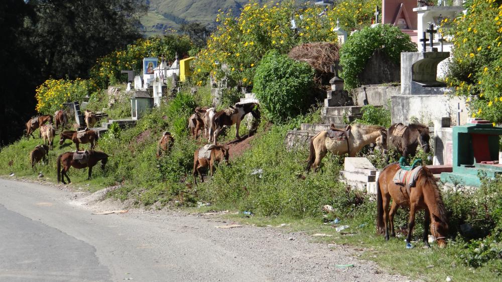 75 Years On - The Arrival of the No. 4 Independent Company and the ...