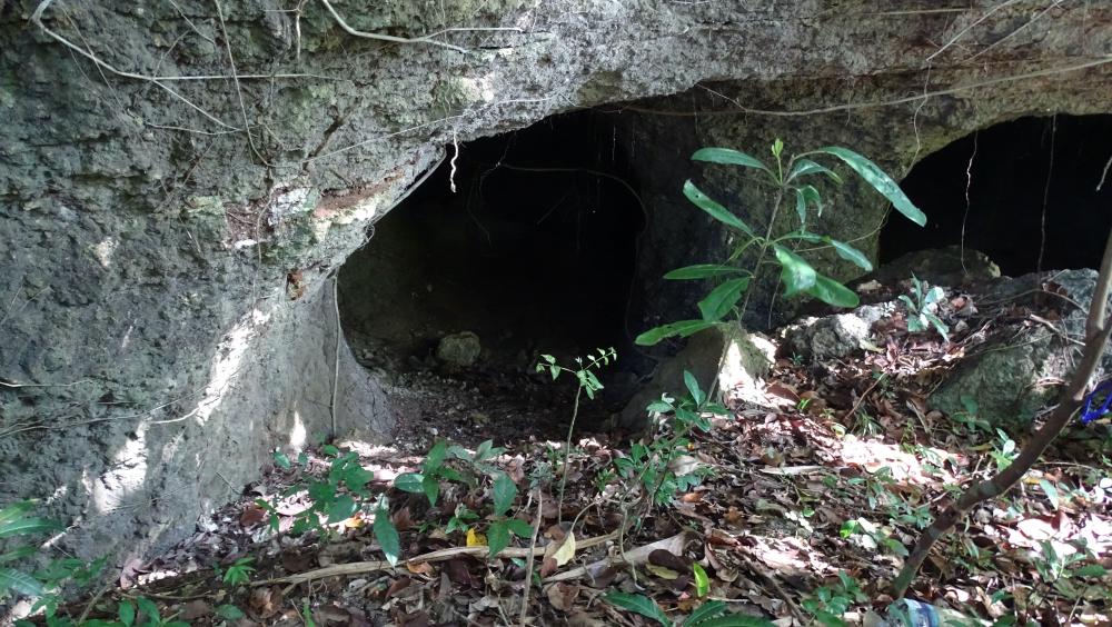 WWII IN EAST TIMOR - AN AUSTRALIAN ARMY SITE AND TRAVEL GUIDE - SITE ...